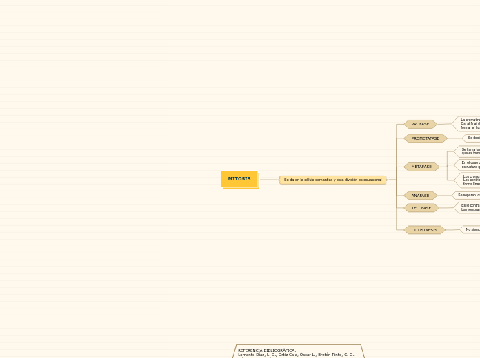 MITOSIS - Mind Map