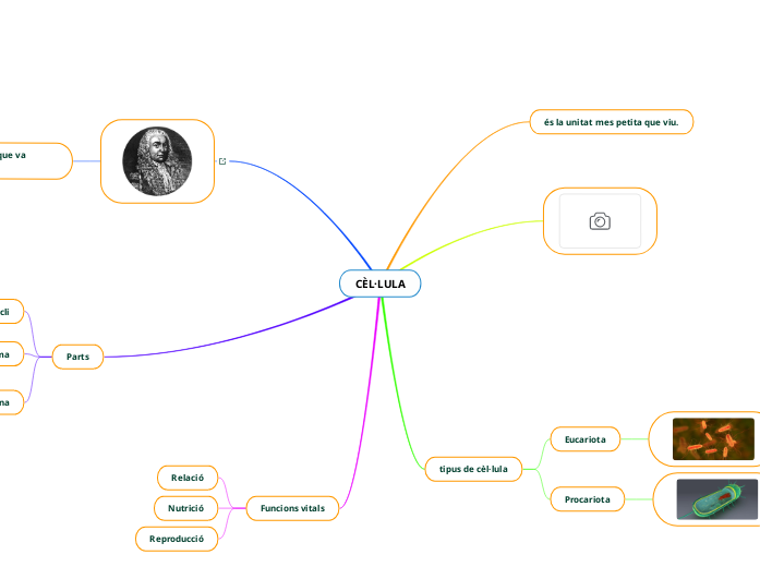 CÈL·LULA - Max Morillas i Agustina Vera - Mind Map