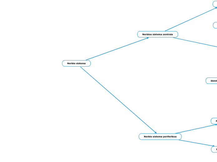 Nerbio sistema - Mind Map