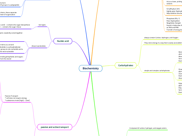Biochemistry - Mind Map