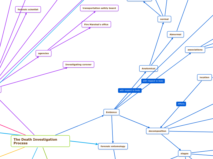 The Death Investigation Process - Мыслительная карта