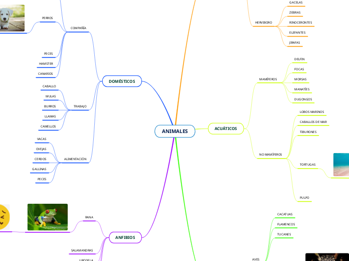 ANIMALES - Mind Map