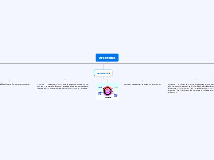 Organelles - Mind Map