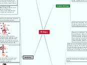 Course Summative - Mind Map