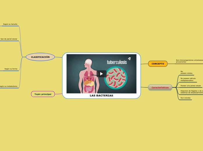 LAS BACTERIAS - Mind Map