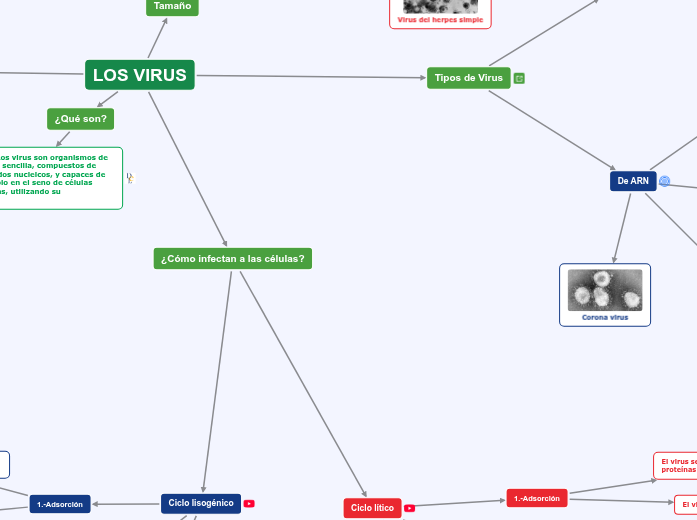LOS VIRUS - Mind Map