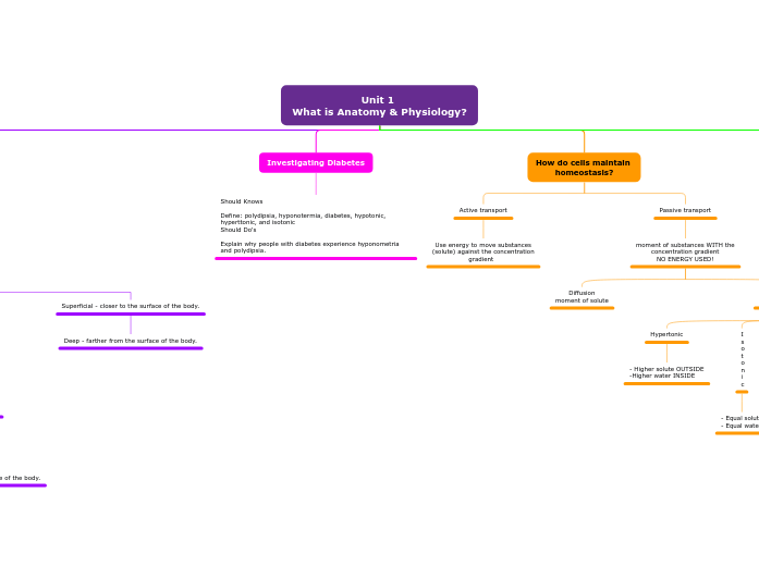 1 What is Anatomy & Physiology? 2023a - Mind Map