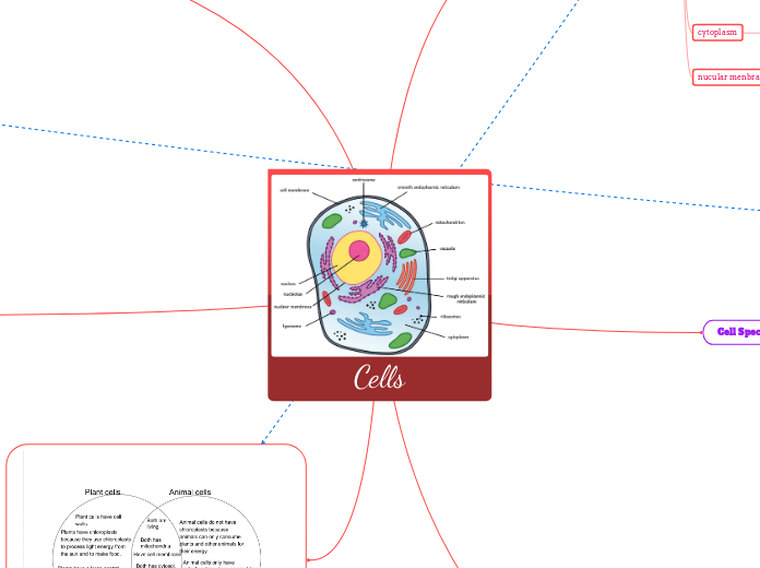 Cells - Mind Map