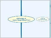 Pathology of Respiratory System - Mind Map