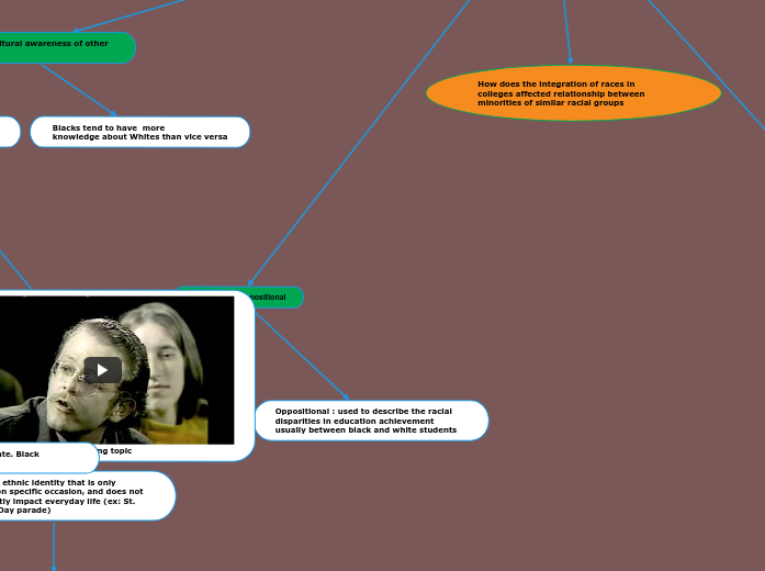 Ethnicity In College - Mind Map