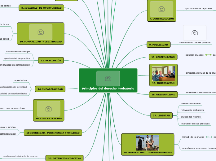principios del derecho probatorio - Mind Map