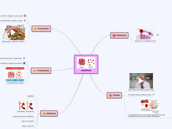 ANEMIA - Mind Map