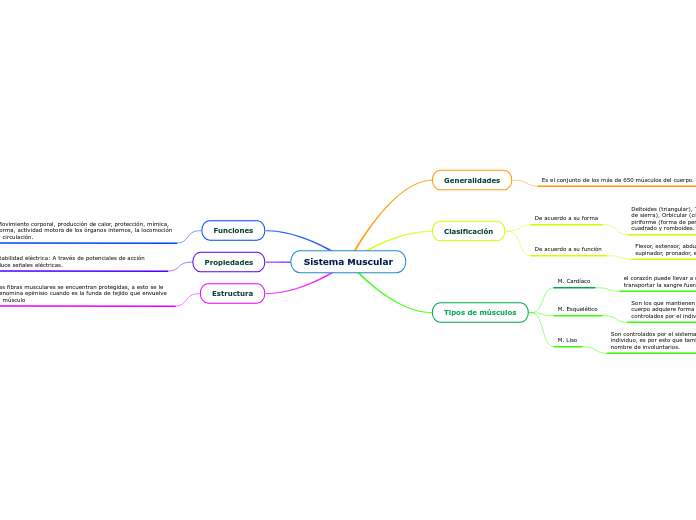 Sistema Muscular - Mind Map