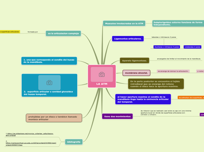 Sample Mind Map - Mind Map