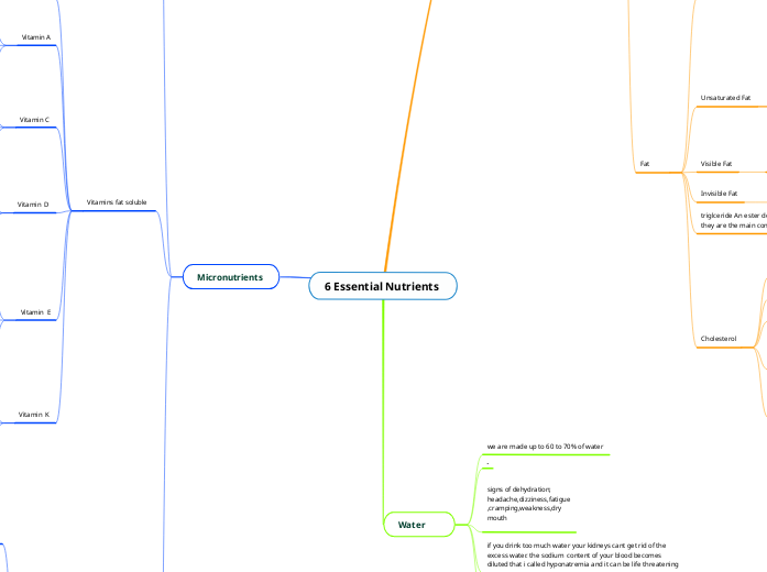 6 Essential Nutrients - Mind Map