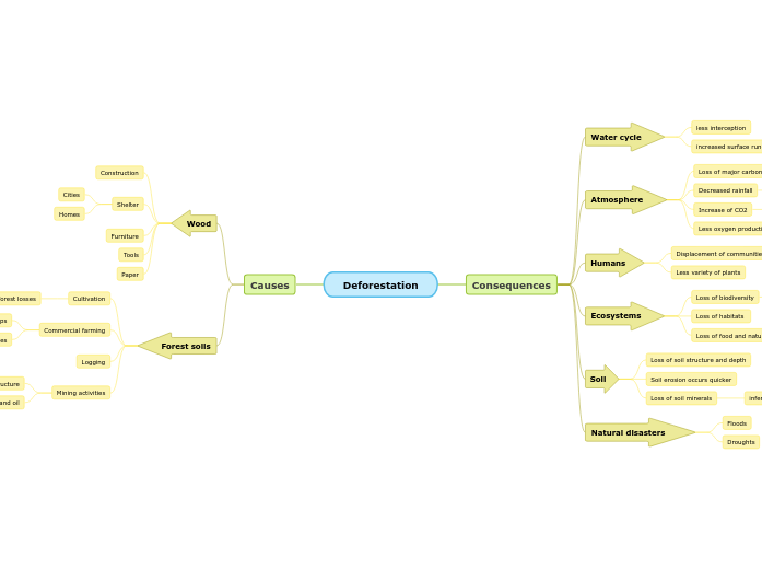 Deforestation - Mind Map