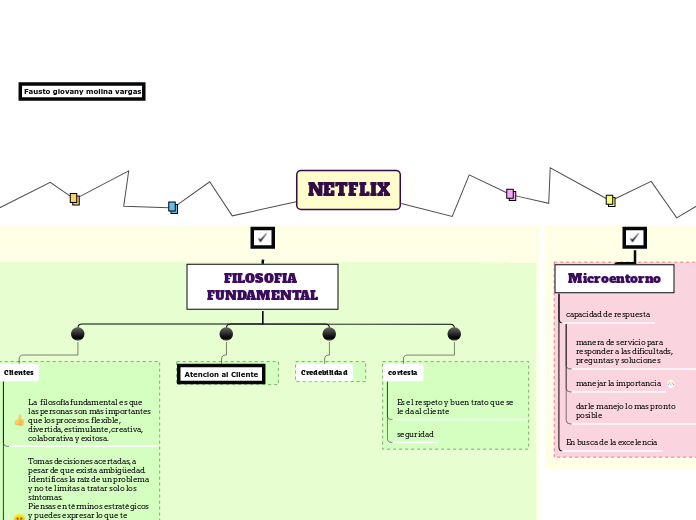 NETFLIX - Mind Map