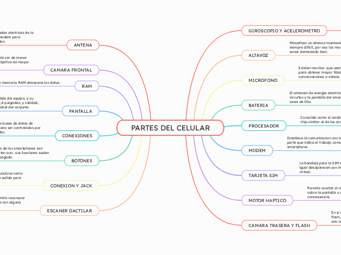 PARTES DEL CELULAR | Mapa mental Mindomo