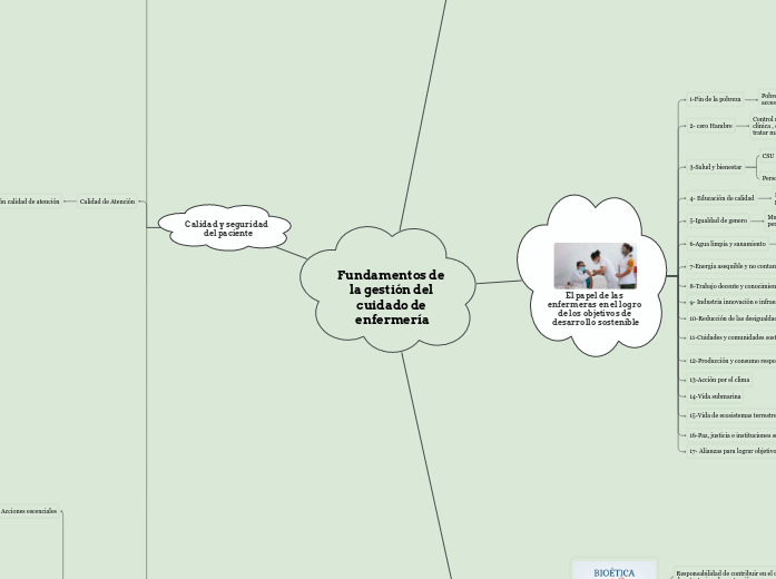 Fundamentos de la gestión del cuidado de e...- Mind Map