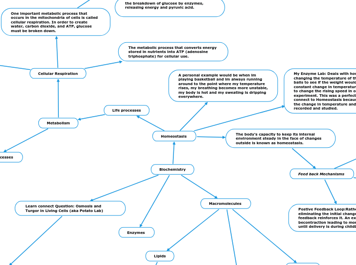 Biochemistry - Mind Map