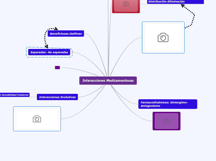 Interacciones Medicamentosas - Mind Map