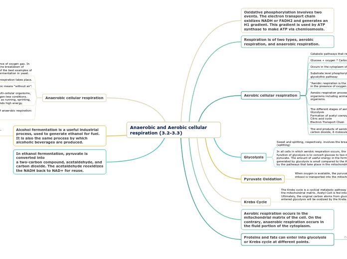 Anaerobic and Aerobic cellular respiration...- Mind Map