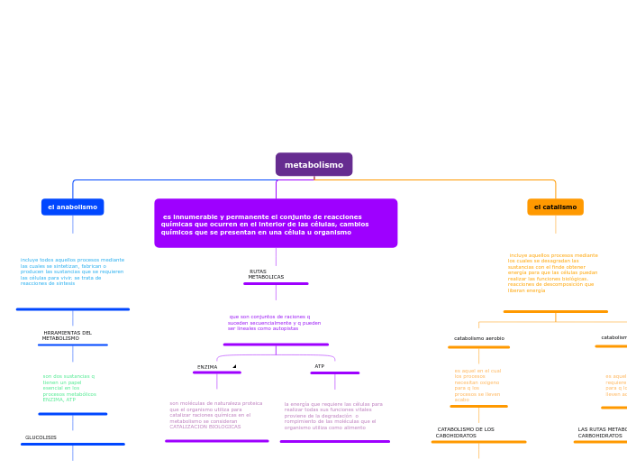 metabolismo - Mind Map