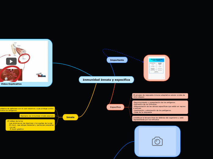Mapa Conceptual De Inmunidad