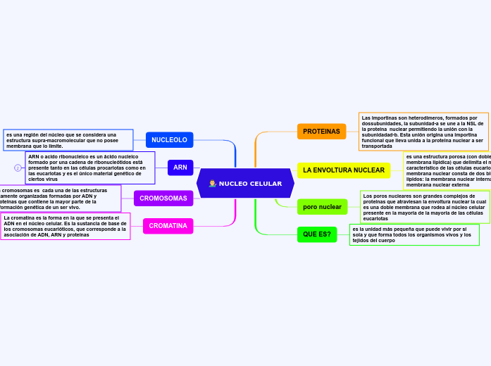 NUCLEO CELULAR - Mind Map