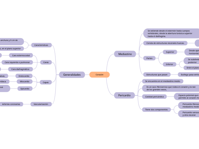 Corazón - Mind Map