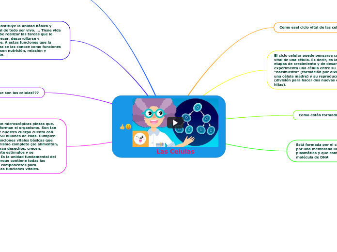 Las Celulas - Mind Map