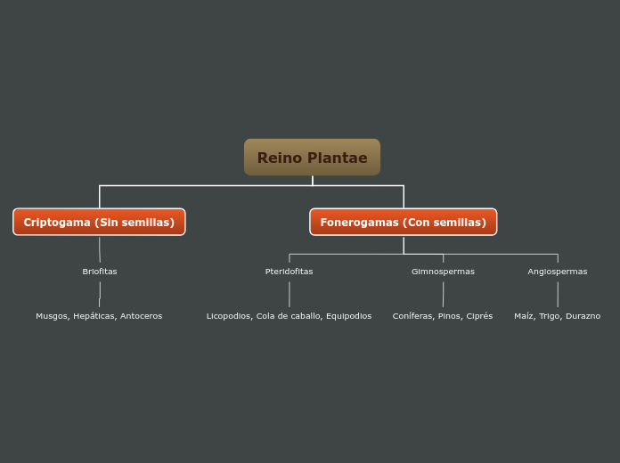 Reino Plantae - Mind Map