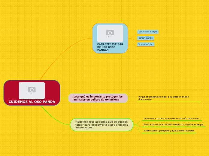CUIDEMOS AL OSO PANDA - Mind Map