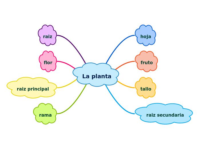 La planta - Mind Map