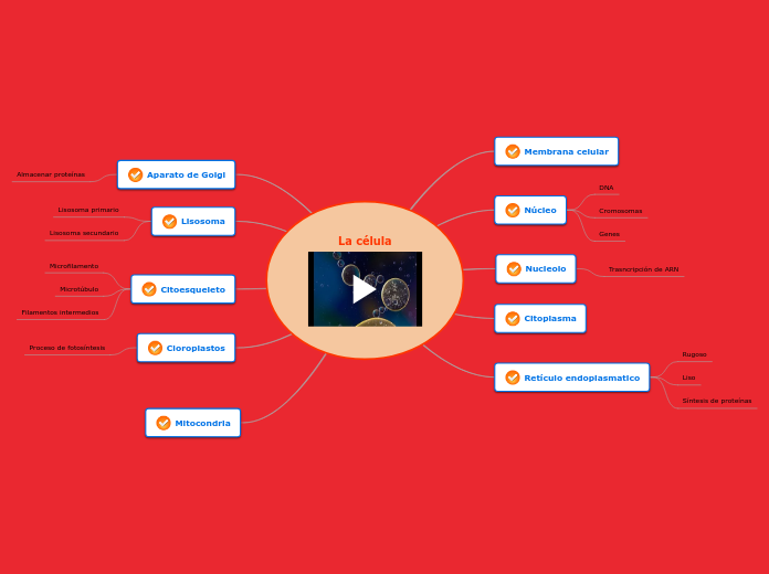 La célula - Mind Map