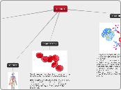 BLOOD - Mind Map