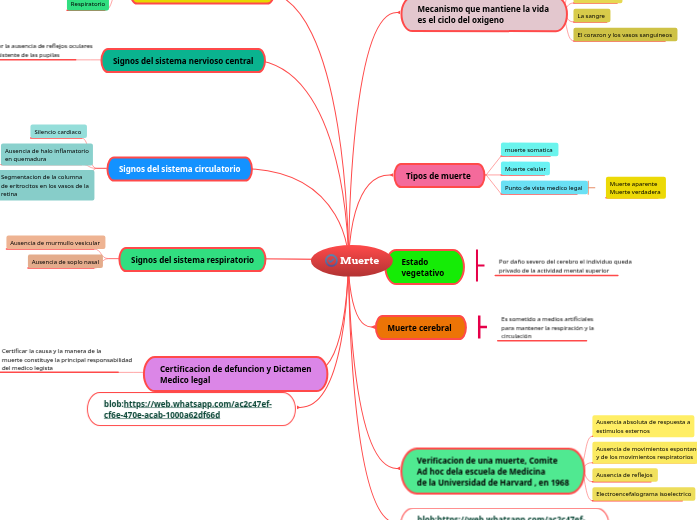 Muerte - Mind Map