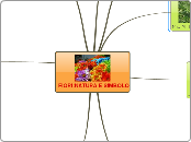 flowers - Mind Map