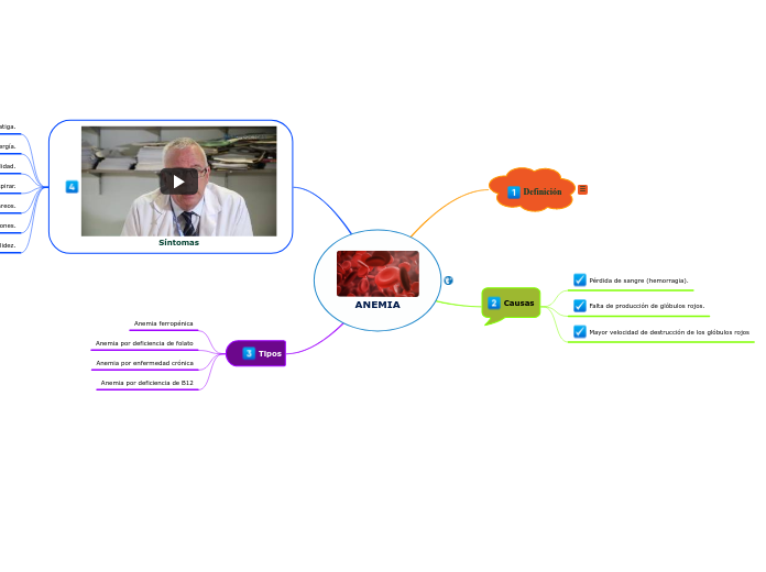 ANEMIA - Mind Map