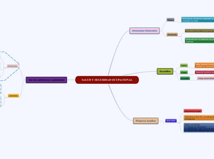 SALUD Y SEGURIDAD OCUPACIONAL - Mind Map