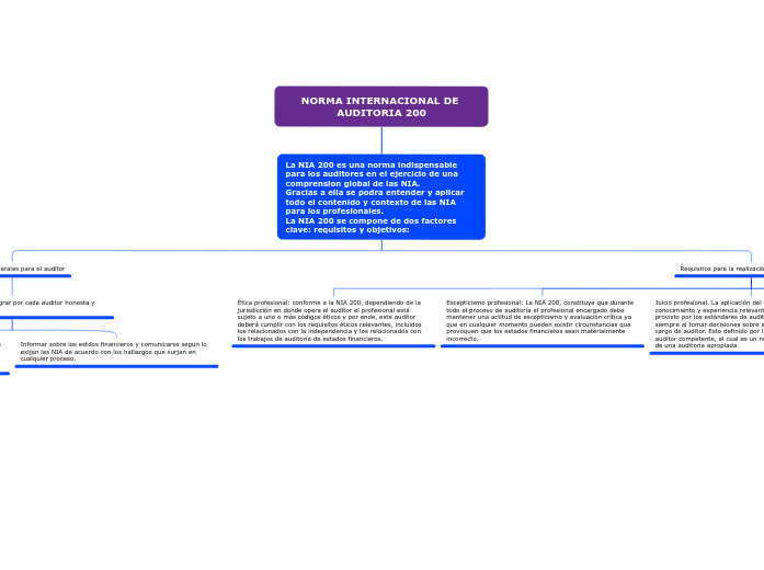 NORMA INTERNACIONAL DE AUDITORIA 200 - Mind Map
