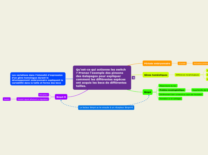 Qu'est-ce qui actionne les switch ? Prenez...- Mind Map
