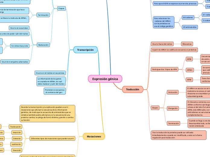 Asia Central - Mind Map
