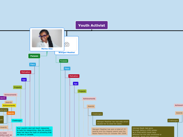 Youth Activist - Mind Map