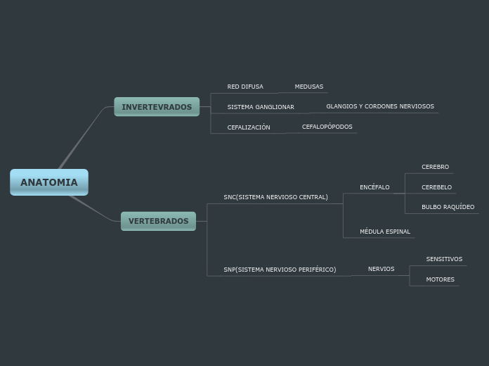 ANATOMIA - Mind Map