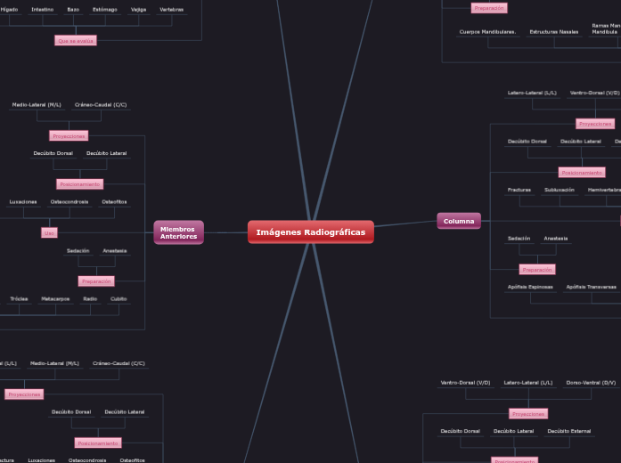 Imágenes Radiográficas - Mind Map