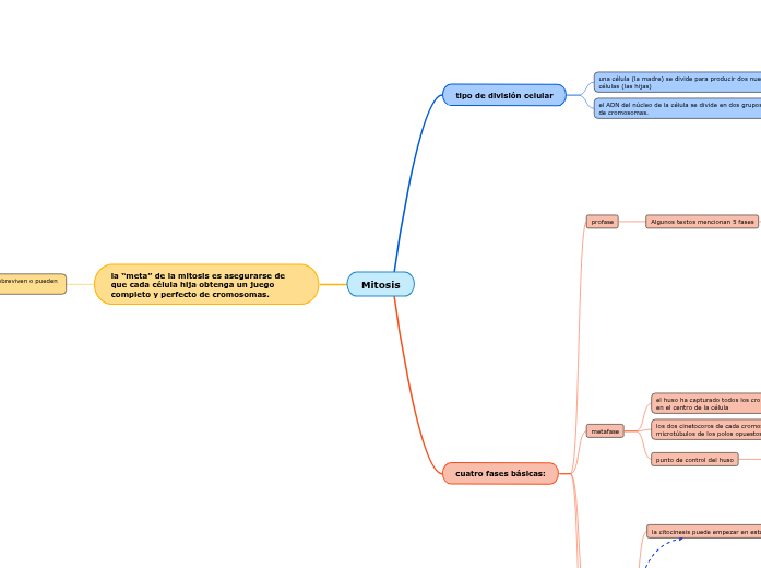 Mitosis - Mind Map
