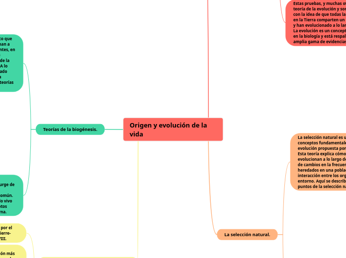 Origen y evolución de la vida - Mind Map