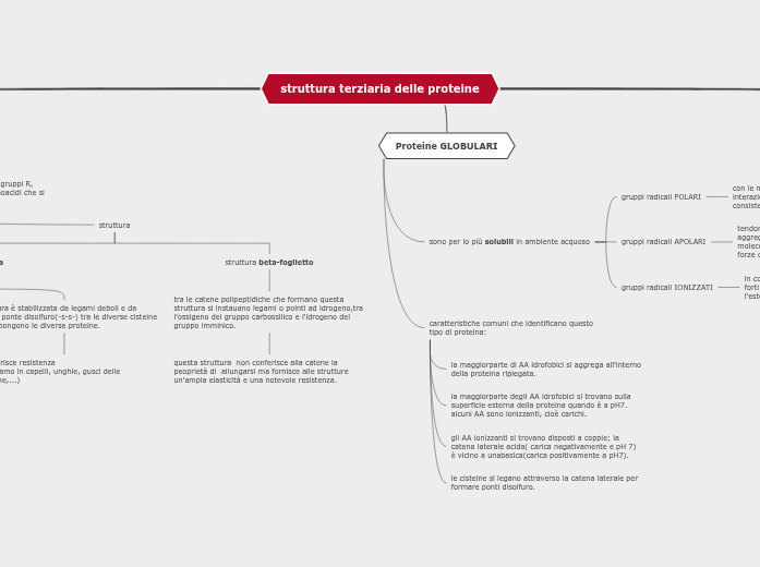 struttura terziaria delle proteine - Mappa Mentale