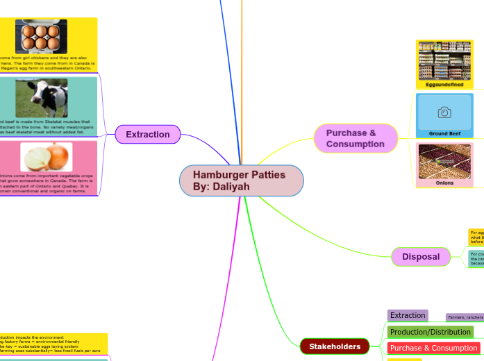 Hamburger Patties By: Daliyah - Mind Map
